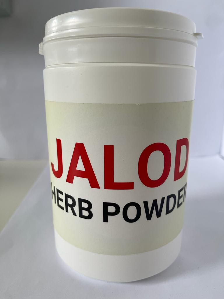 Jalod Herb Powder 500gm (Treats Ascites - Water in stomach)– Ayurvedic ...