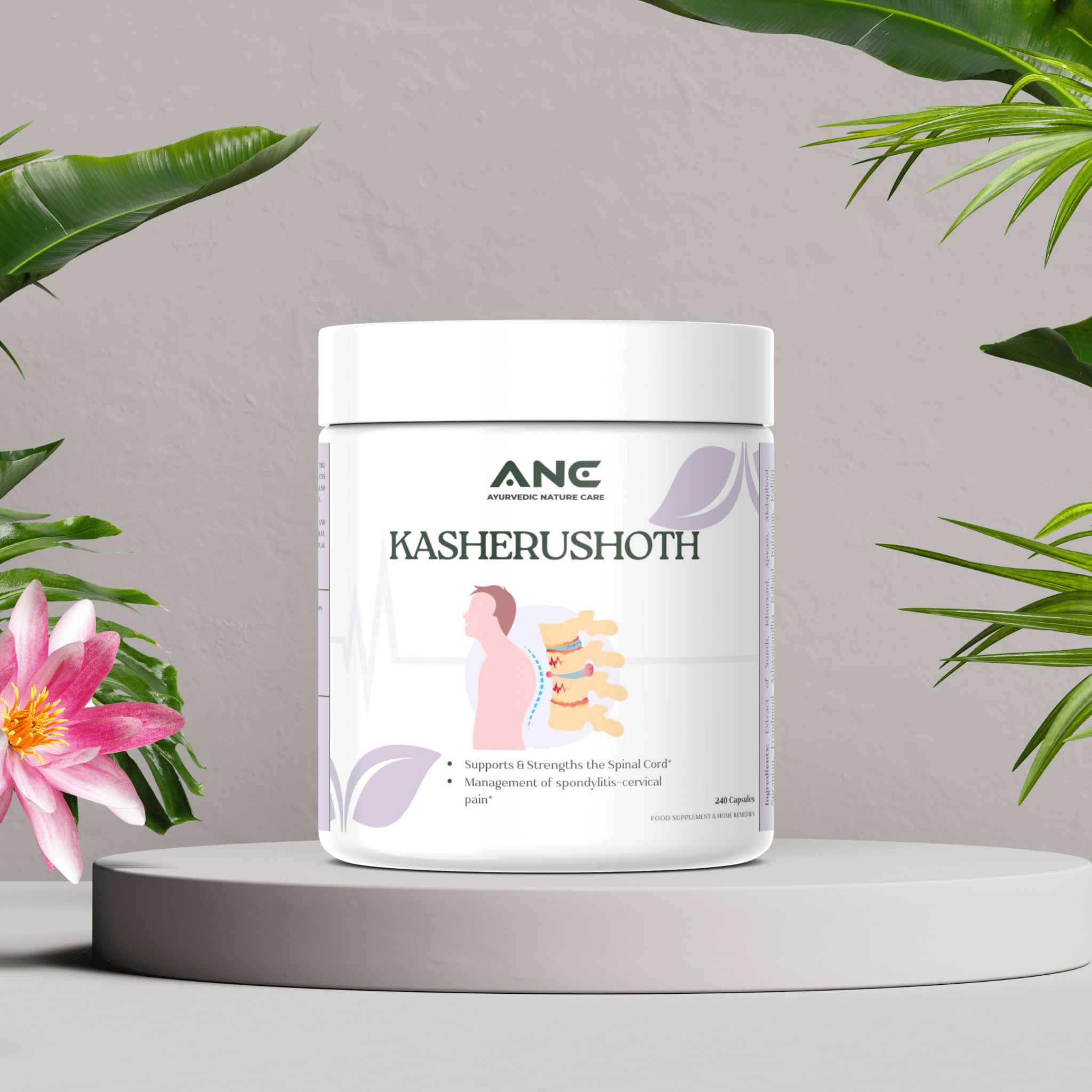 Spondica-Kasherushoth Capsules/Powder (Supports & Strengths the Spinal ...